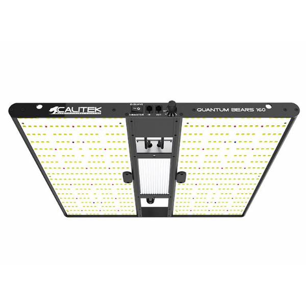 Calitek - Led Quantum Bears - 160W