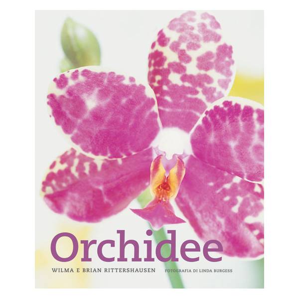 Orchidee di Wilma e Brian Ritterhausen, Mango Editore
